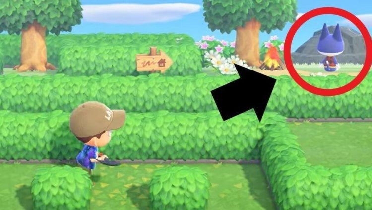 Animal Crossing New Horizons: May Day Event Guide - DigiStatement