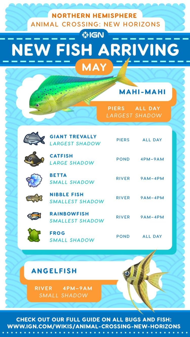Animal Crossing New Horizons (ACNH) May Fish List, Bugs List with ...
