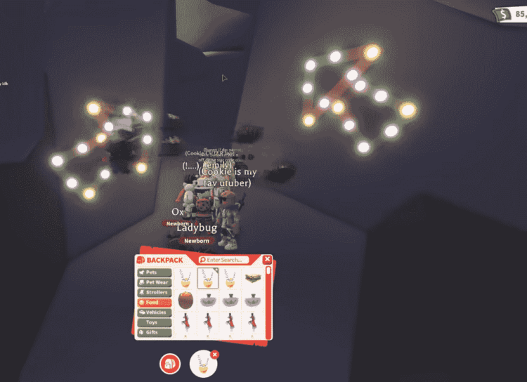 How to get Diamond Ladybug in Adopt Me 2021 with Cave trick ...