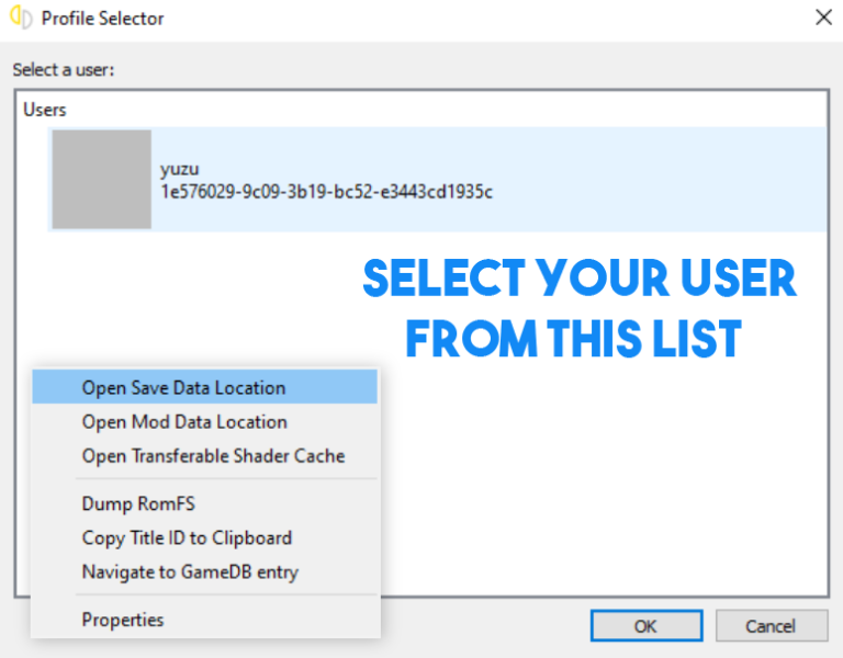 Yuzu Emulator : How to add save to your game? - DigiStatement
