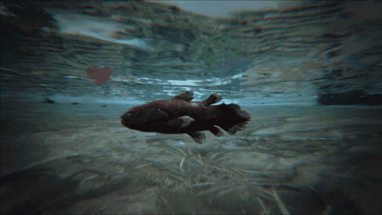 Top 10 Underwater Creatures in ARK Survival Evolved - DigiStatement