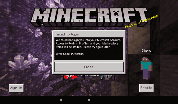Minecraft Error code Pufferfish: How to fix it? - DigiStatement