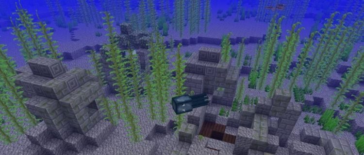 Minecraft: How to find Ocean ruins? - DigiStatement