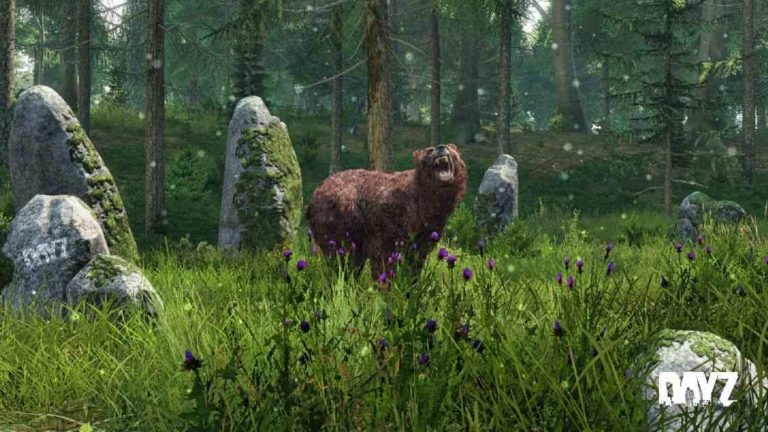 DayZ not showing servers on PC: Fixes & Workarounds