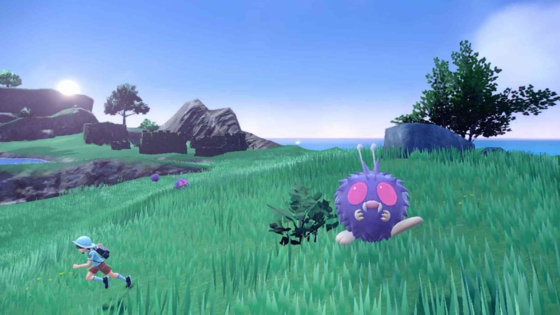 Pokemon Scarlet & Violet (SV): How to get Wide Lens - DigiStatement