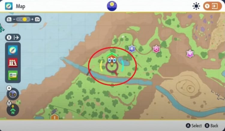 Pokemon Scarlet & Violet (SV): How to get Zorua & Ditto - DigiStatement