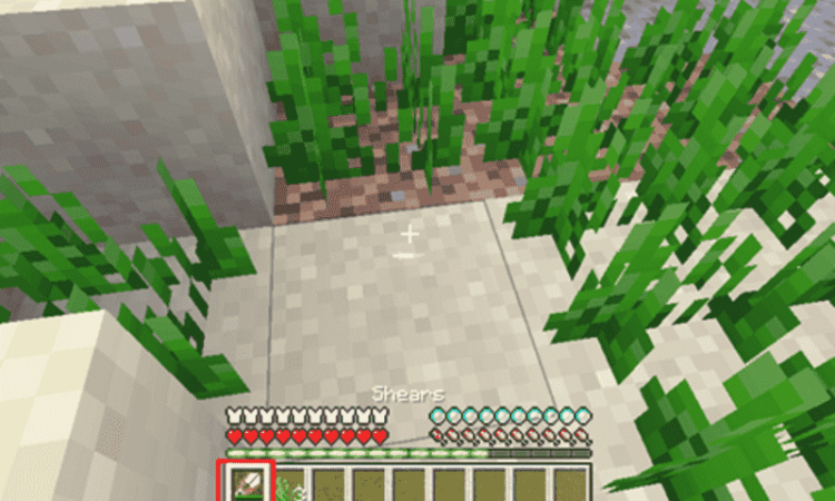 Minecraft: How to get Seagrass - DigiStatement