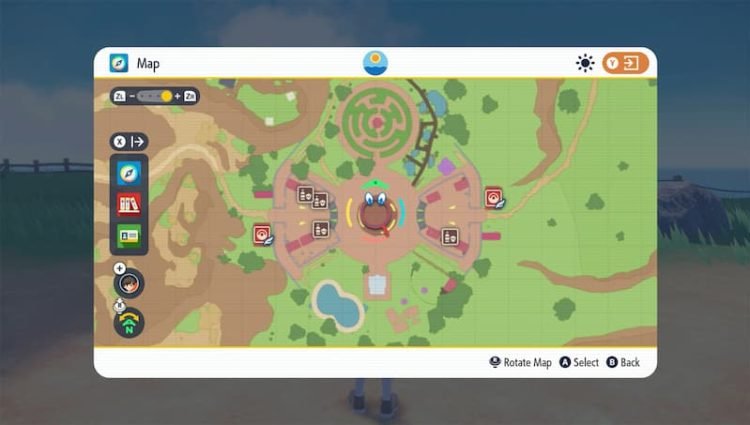 Pokemon Scarlet & Violet (SV): How to get Revival Herbs - DigiStatement