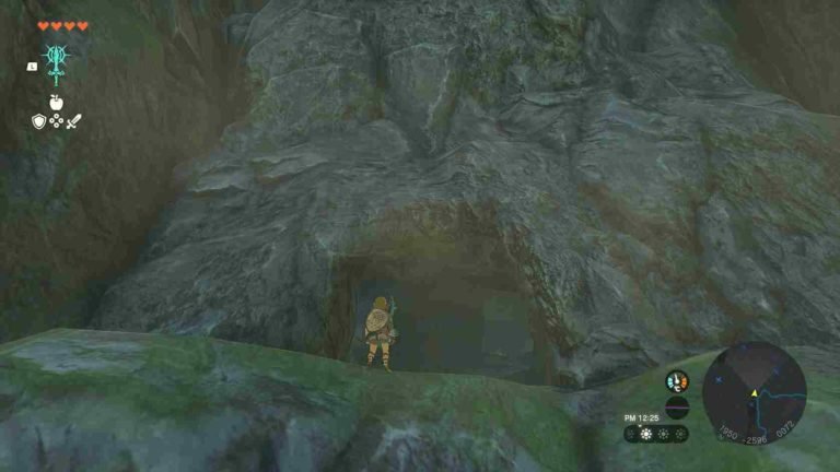 Zelda Tears of the Kingdom (ToTK): How to enable 60FPS on PC ...