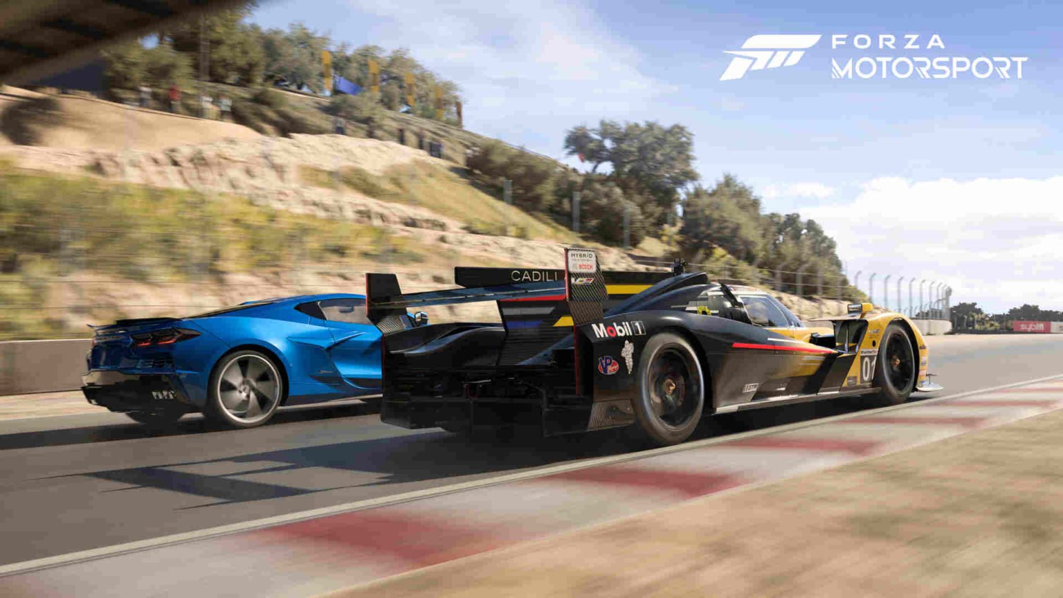 Forza Motorsport Replays Not Working