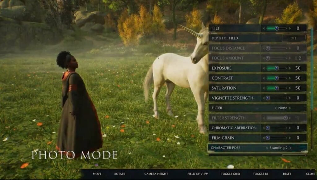Hogwarts Legacy: How to Use Photo Mode on Xbox, PS & PC? - DigiStatement